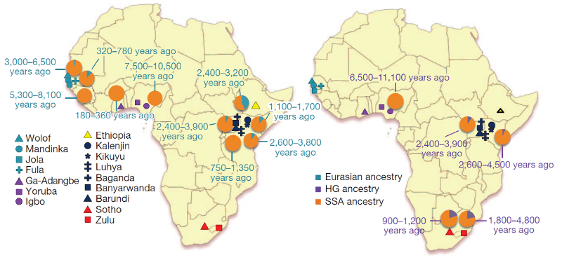 Study set to shape medical genetics in Africa