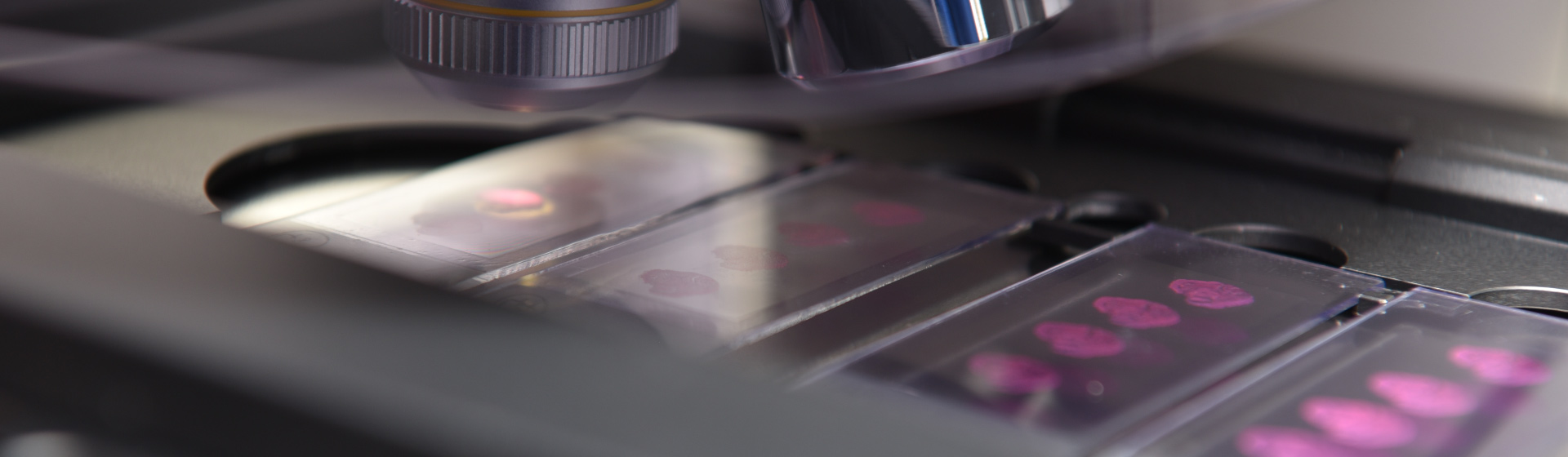 News – Wellcome Sanger Institute