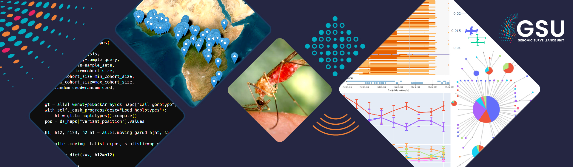 Malaria Vector Genomic Surveillance