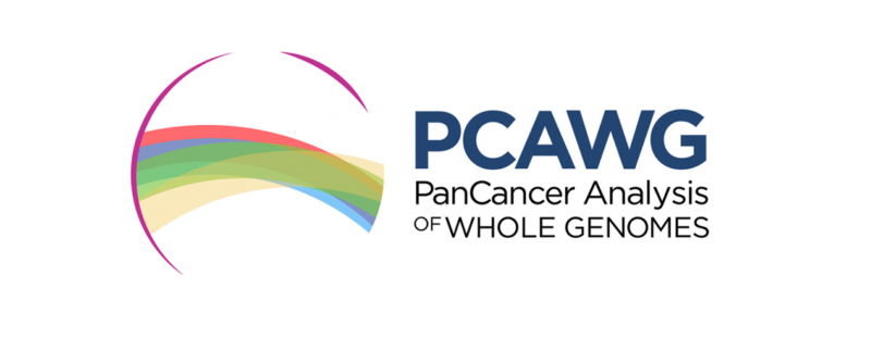 Background information about the ICGC/TCGA Pan-Cancer Project