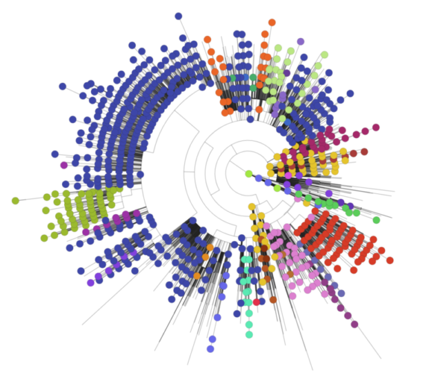 Analysis of COVID-19 Genomes reveals large numbers of introductions to ...
