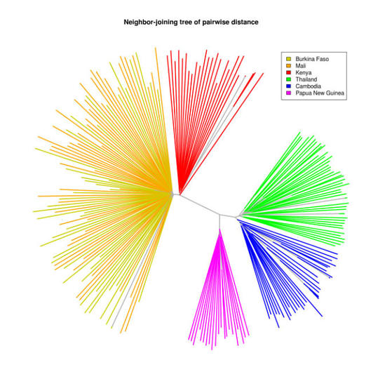 Putting parasites on the world map