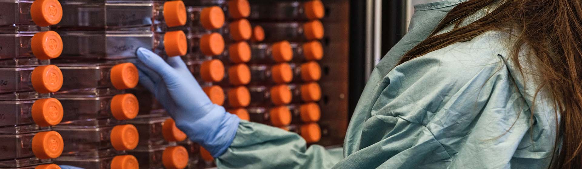 Wellcome Sanger Institute