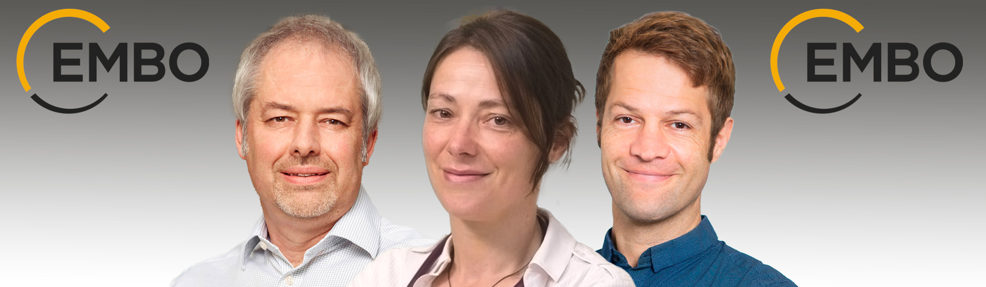 Three Sanger Institute researchers honoured by EMBO