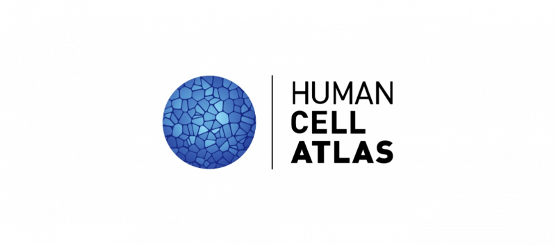 The international Human Cell Atlas publishes strategic blueprint ...
