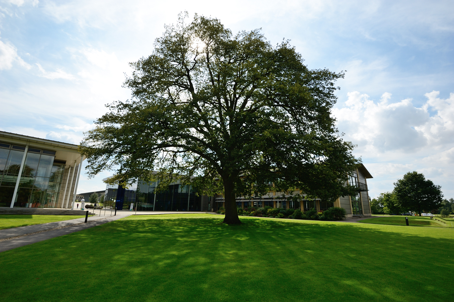 Wellcome Sanger Institute: vision and annual reports