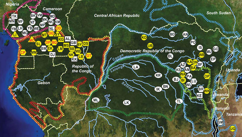 Out of Africa the evolution of Plasmodium vivax