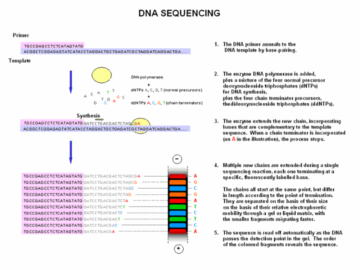 The History of the UK Genome Project