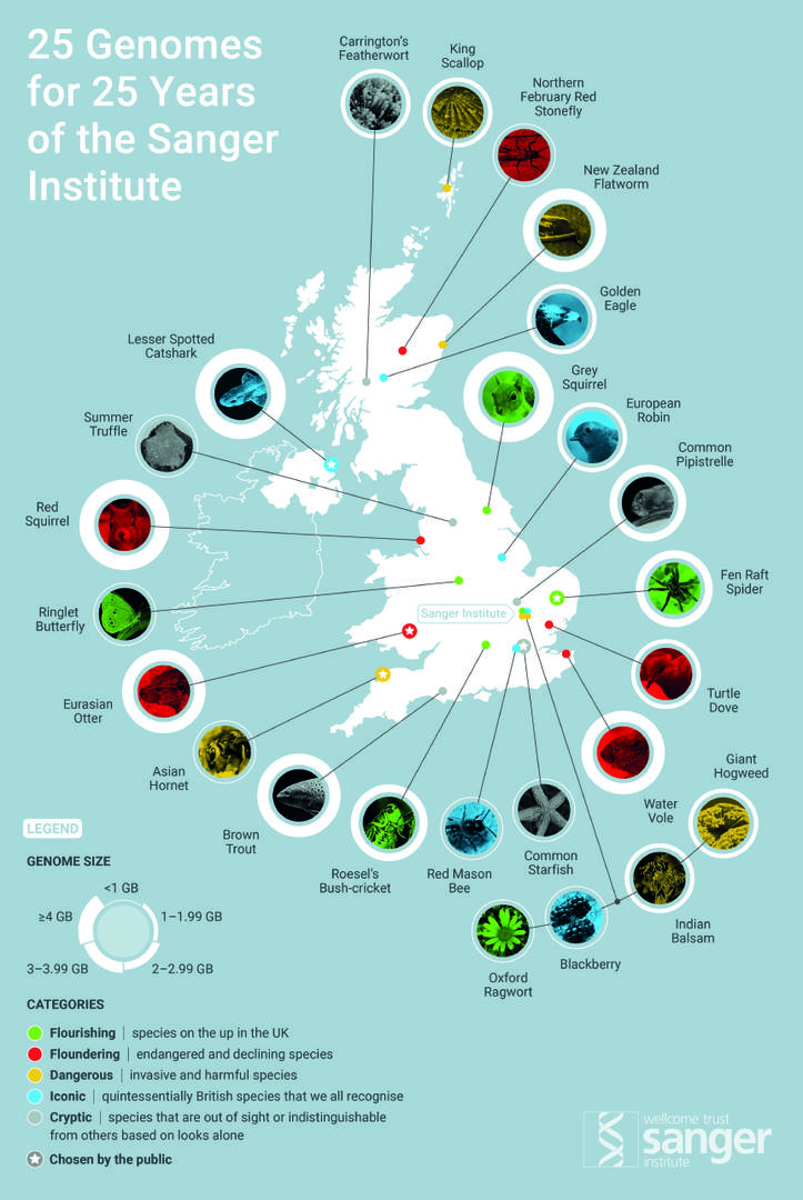 25 UK species’ genomes sequenced for first time
