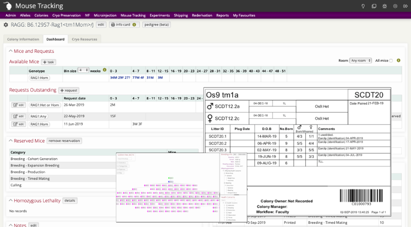 MCMS: Mouse Colony Management System