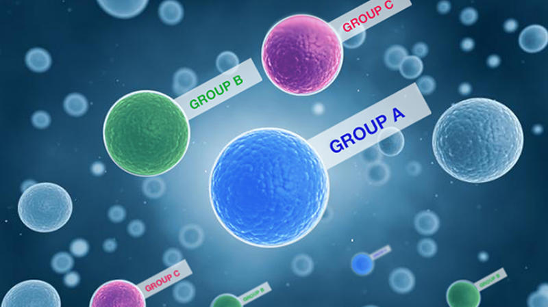 Gene expression: a snapshot of stem cell development